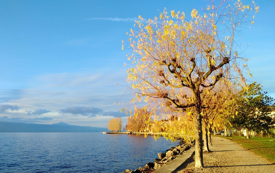 Promenade Du Lac Berge Chemin - Photo gratuite sur Pixabay