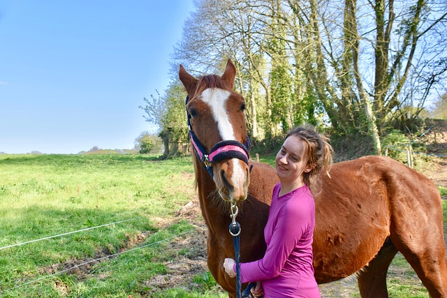 Cheval Et Cavalier Alezan - Photo gratuite sur Pixabay - Pixabay