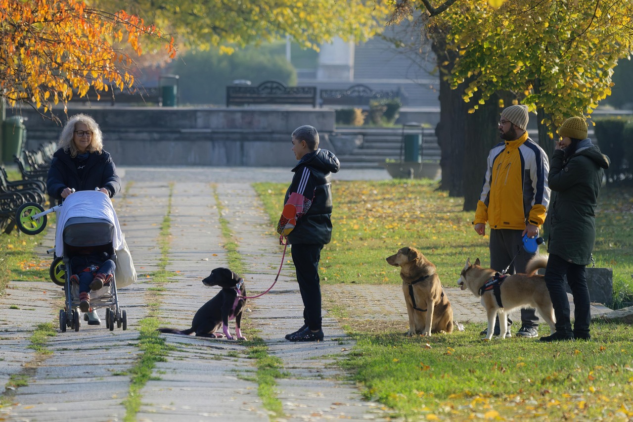 500+ Free People Dogs & People Images - Pixabay
