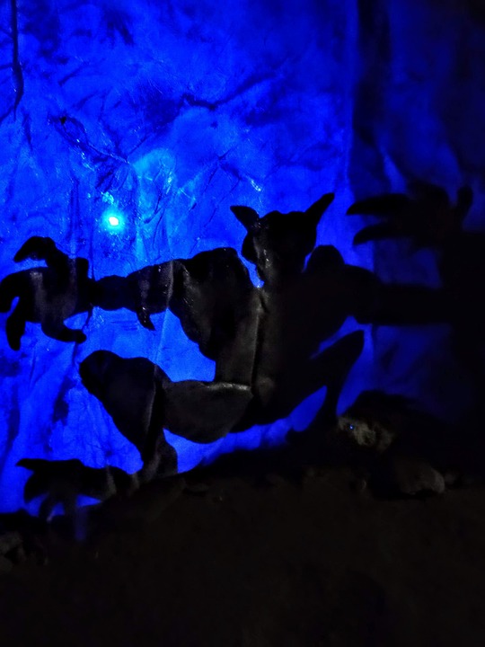 Devil Shadow Blue - Free photo on Pixabay - Pixabay