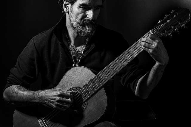 Musicien Guitare Portrait - Photo gratuite sur Pixabay