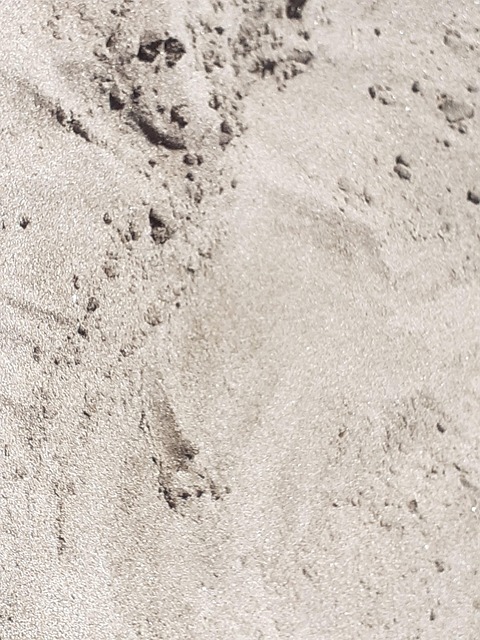 Sea Of Silver Bare Buenos Aires - Free photo on Pixabay - Pixabay