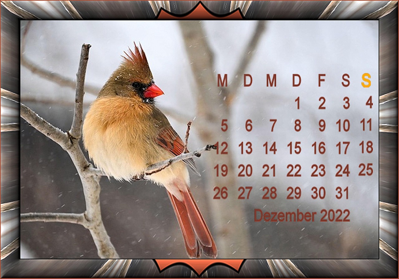 Kalenderblatt Dezember 22 Winter - Kostenloses Foto auf Pixabay - Pixabay