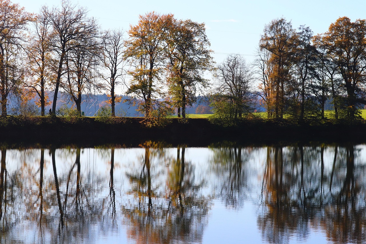 Lakeside Trees Lake - Free photo on Pixabay - Pixabay