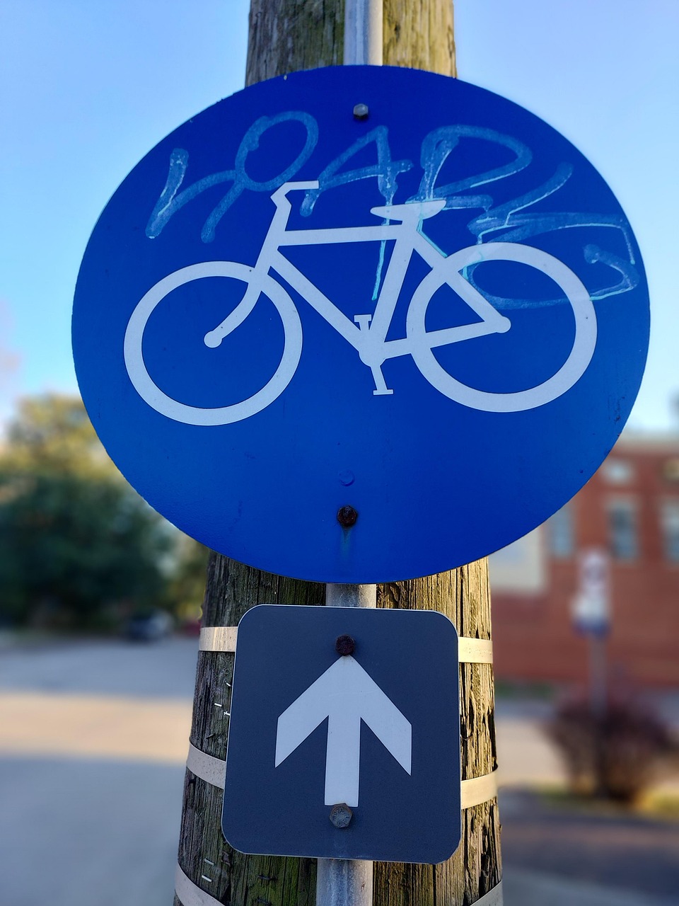 Street Sign Cycling - Free photo on Pixabay - Pixabay