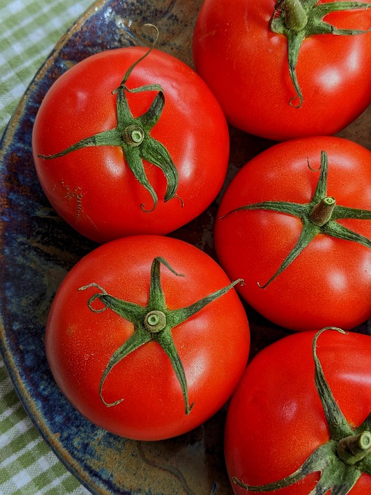 Tomaten Früchte Gemüse - Kostenloses Foto auf Pixabay