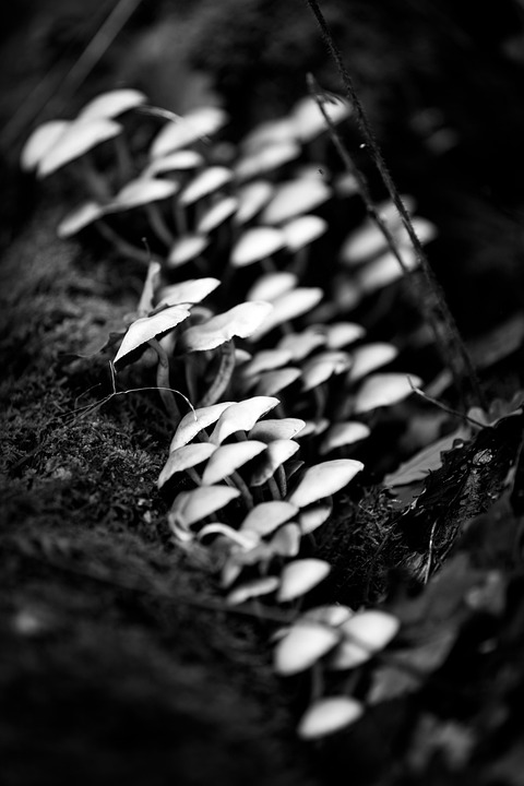Black Metal Dark Depression - Free photo on Pixabay
