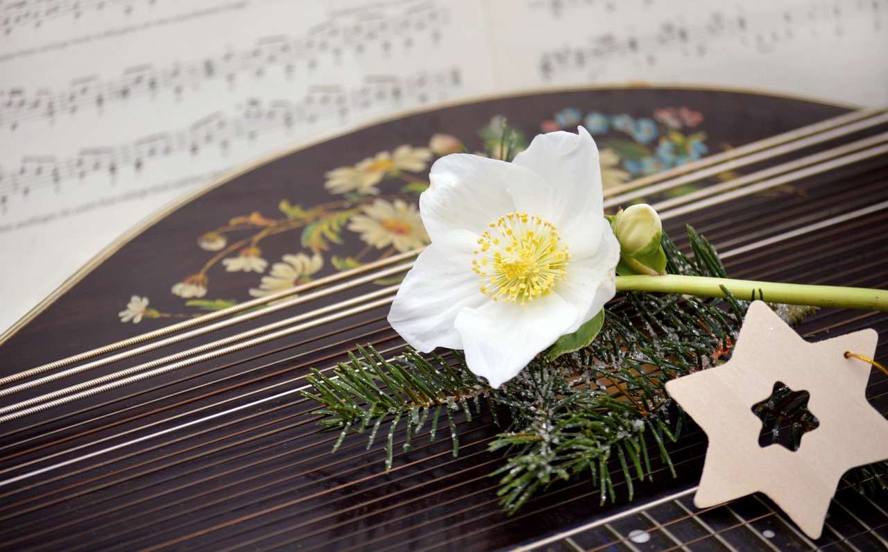 10+ Free Zither & Music Images - Pixabay