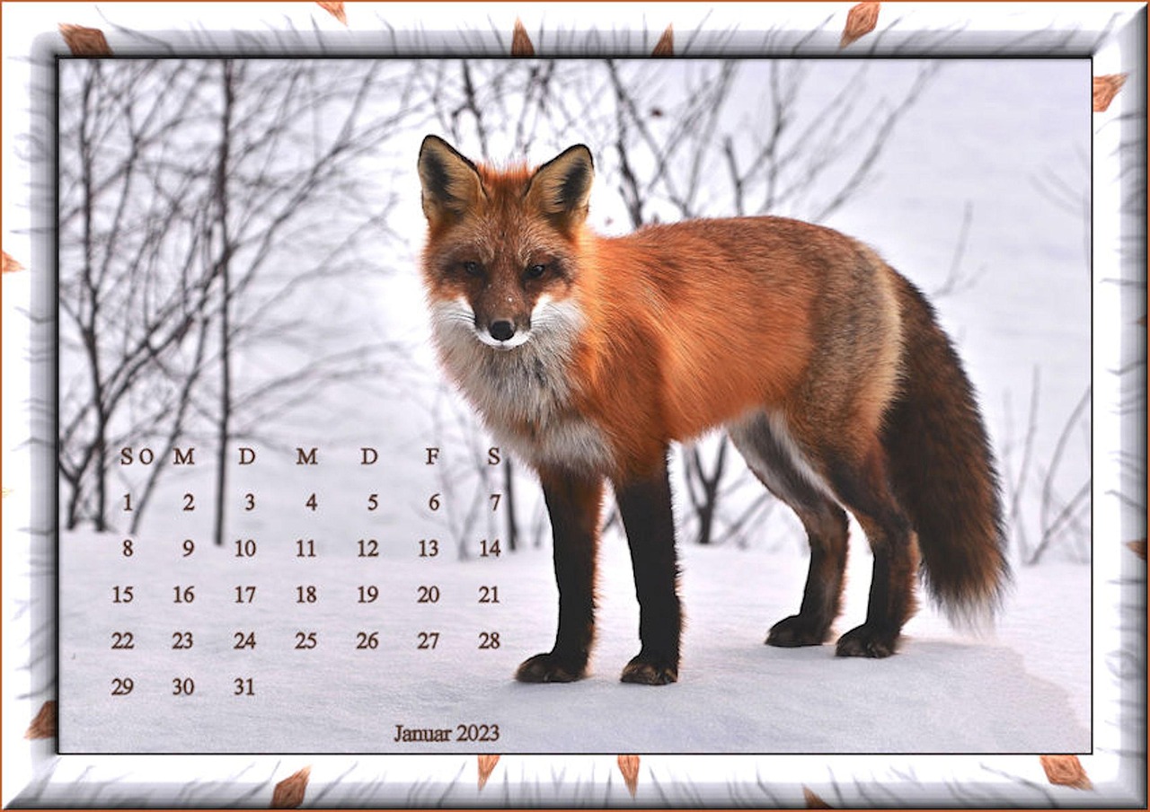 Calendar Sheet 23 Winter - Free photo on Pixabay
