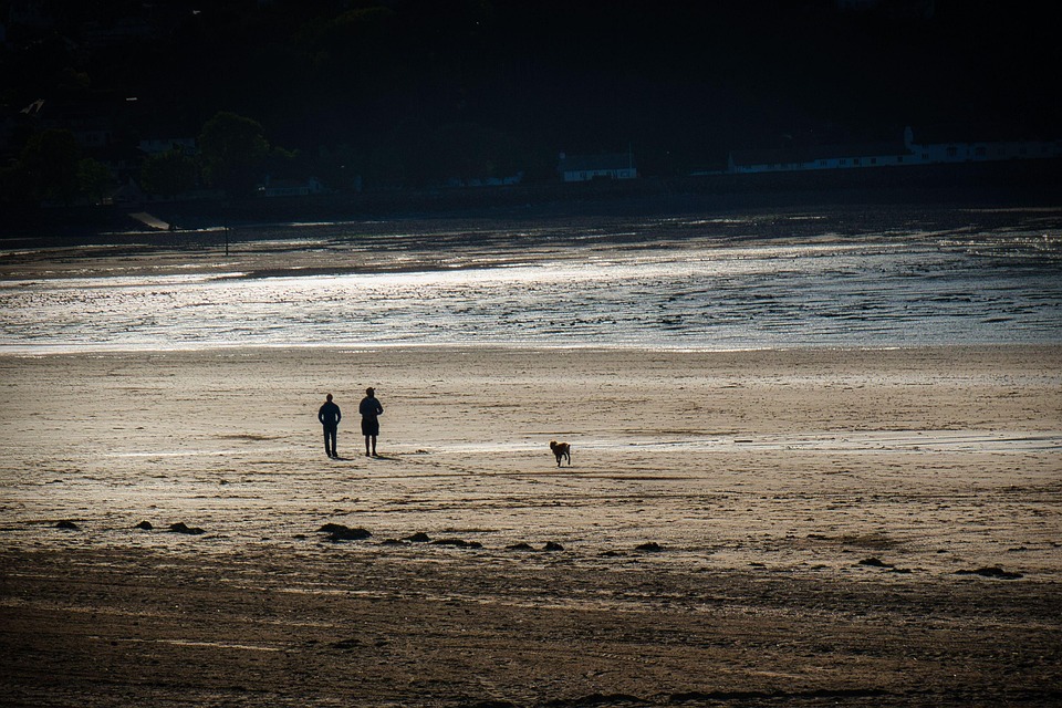 Tête De Mine Plage En Marchant - Photo gratuite sur Pixabay