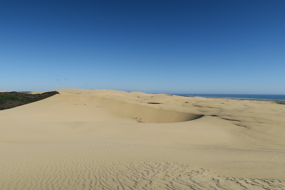 New Zealand Sea Sand - Free photo on Pixabay - Pixabay