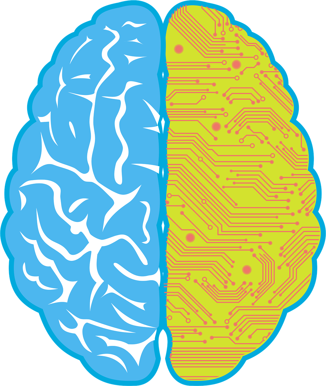 100 Free Brain Icon Brain Images Pixabay 100 Free Brain Icon Brain Images Pixabay