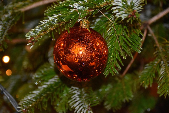 Julprydnad Jul Kristen Helgdag - Gratis foto på Pixabay - Pixabay