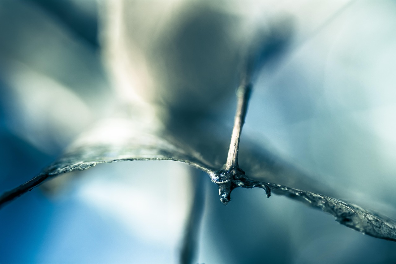 600+ Free Finished & Nature Images - Pixabay