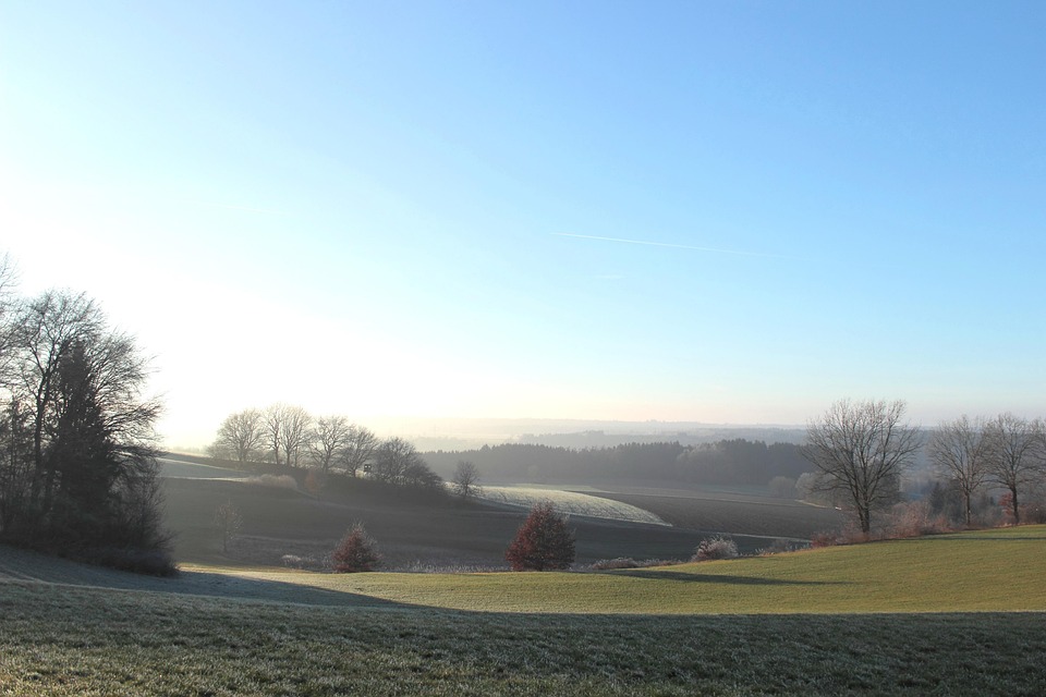 Landschaft Wiese Wald - Kostenloses Foto auf Pixabay - Pixabay