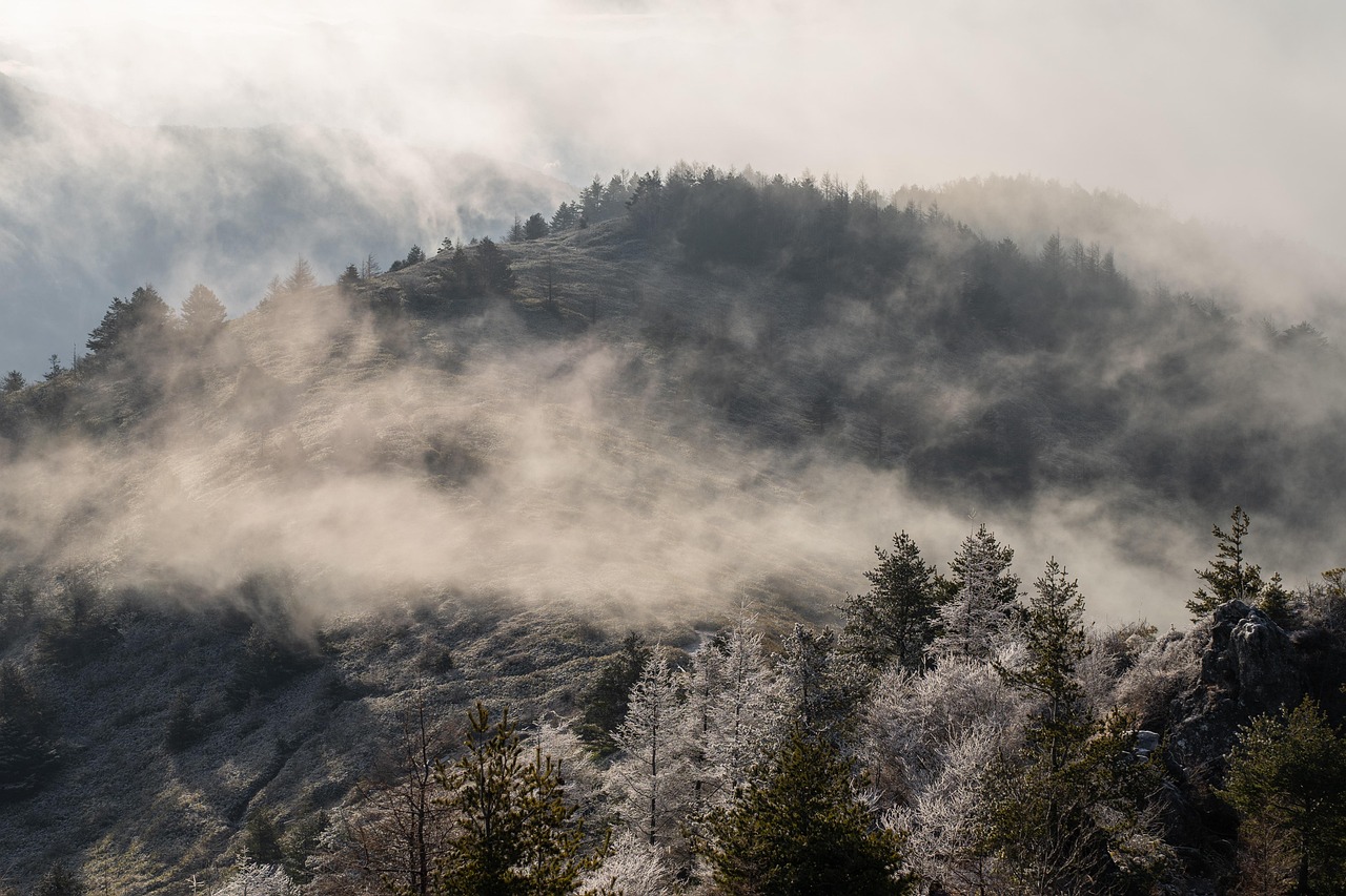 Montaña Bosque Árboles - Foto gratis en Pixabay - Pixabay