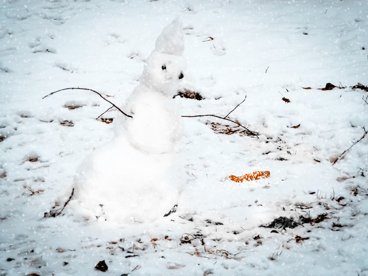 Winter First Snow - Free photo on Pixabay