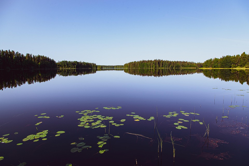 Lake Summer Finland Water - Free photo on Pixabay