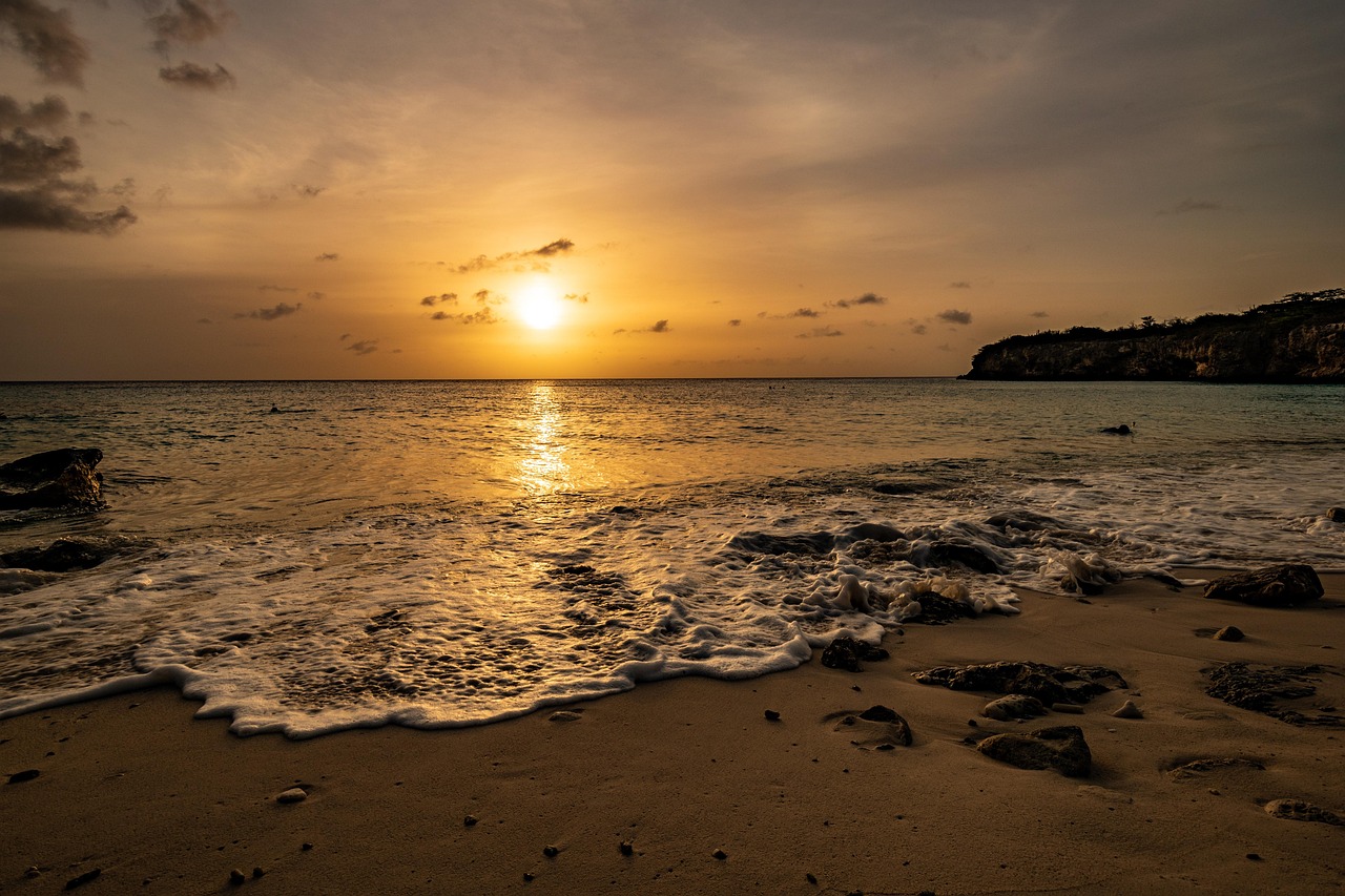 300+ Free Curacao & Nature Images - Pixabay
