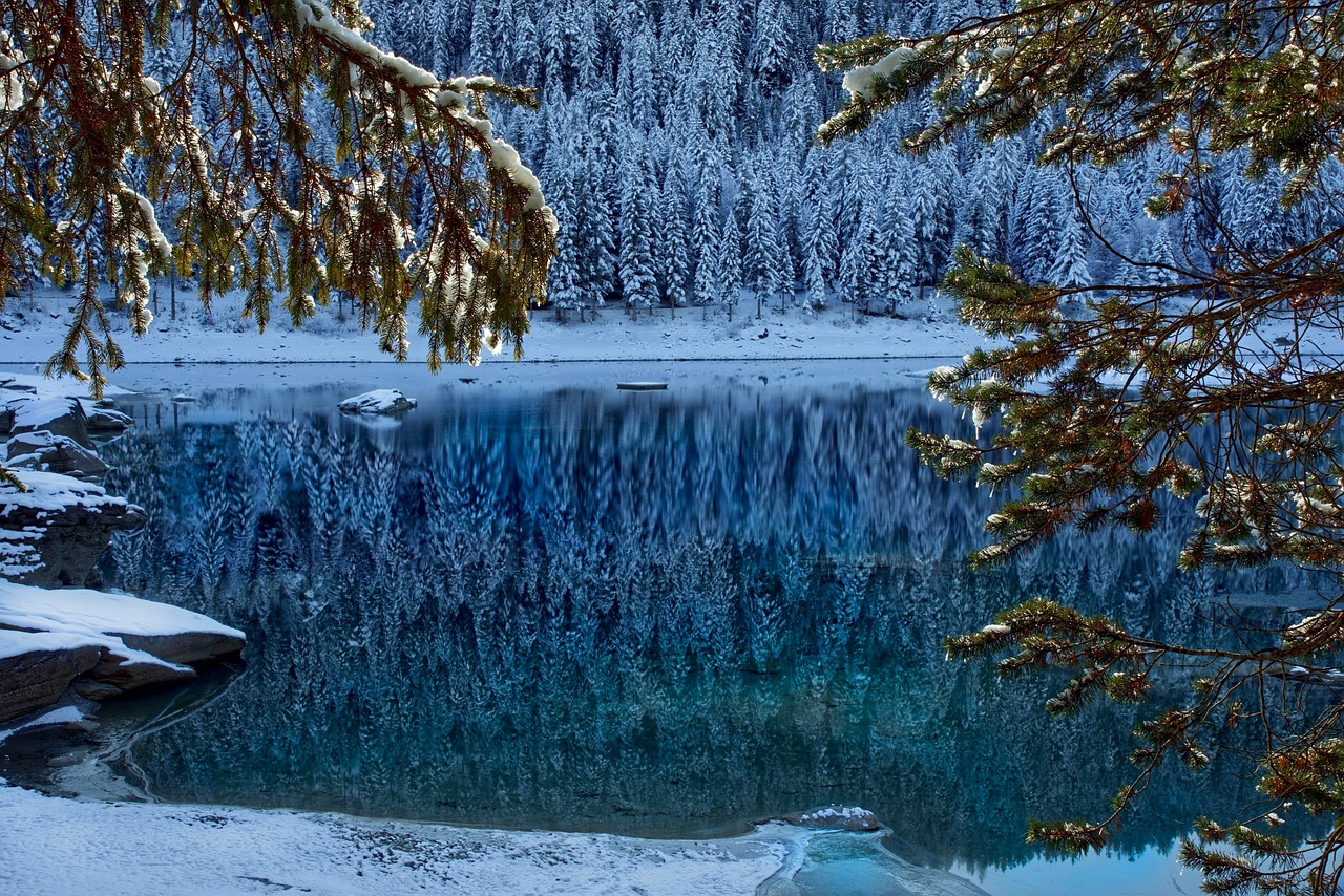 Landscape Winter Snow - Free photo on Pixabay - Pixabay