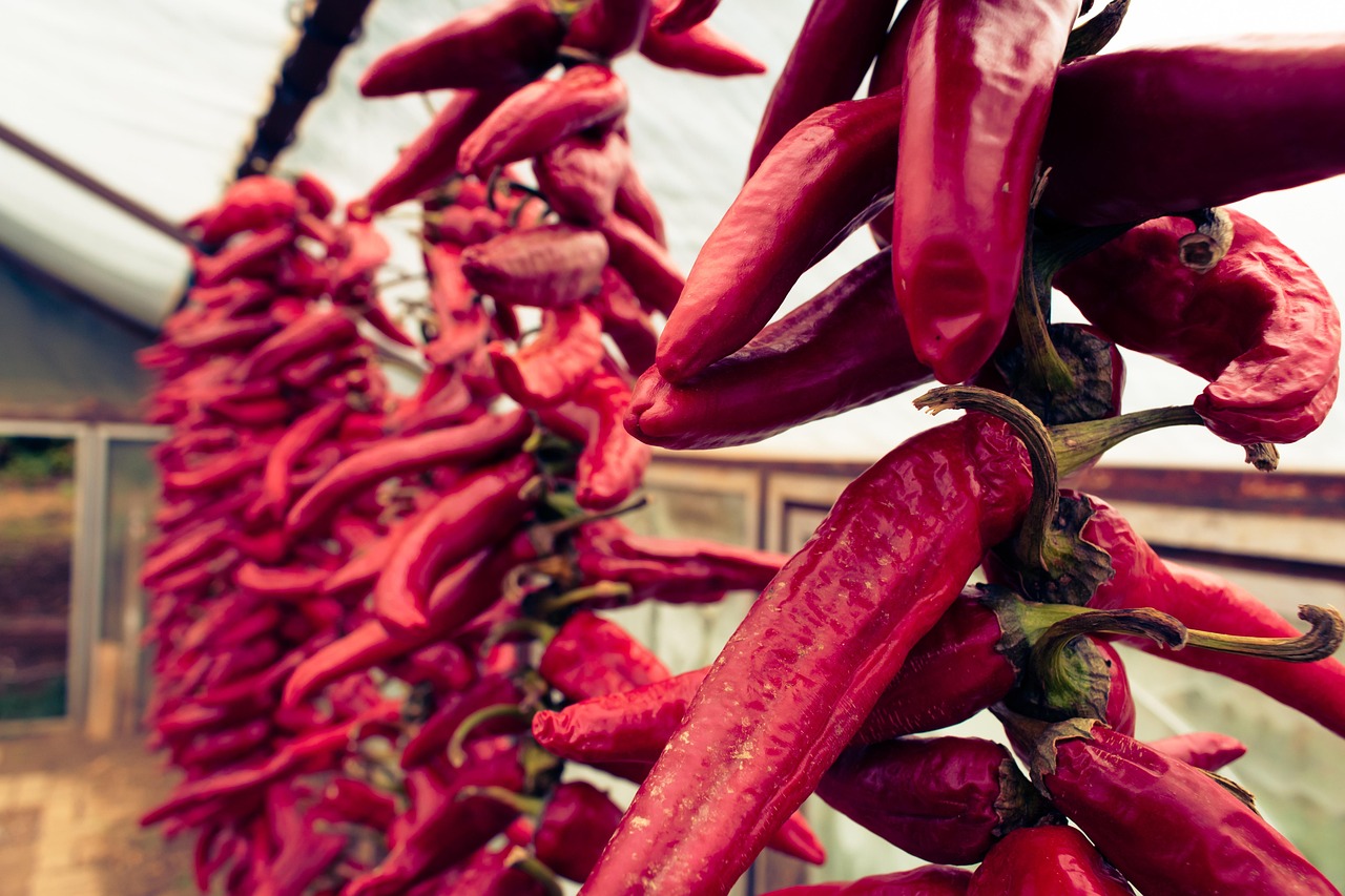 Chili Bunch Burning - Free photo on Pixabay