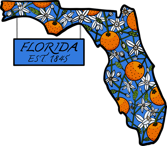 Florida Mapa Contorno Viajar - Gráfico vetorial grátis no Pixabay - Pixabay