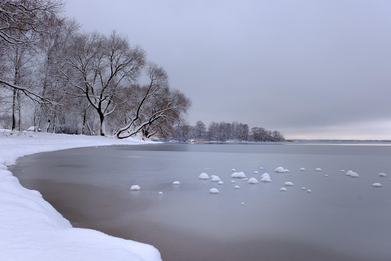 Invierno Bosque Lago - Foto gratis en Pixabay - Pixabay