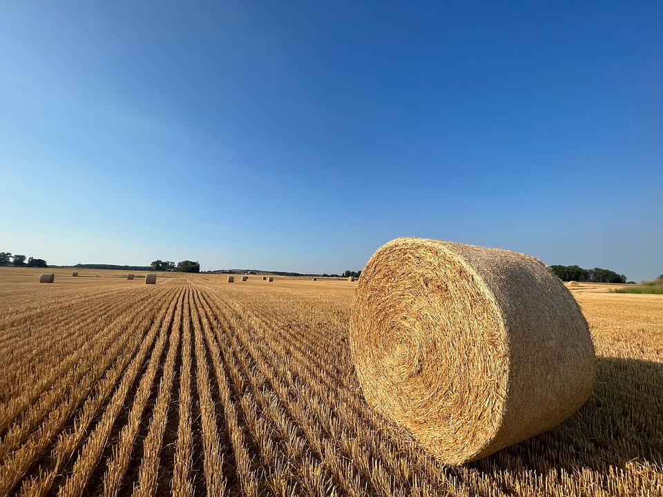 Heu Landwirtschaft Feld - Kostenloses Foto auf Pixabay - Pixabay