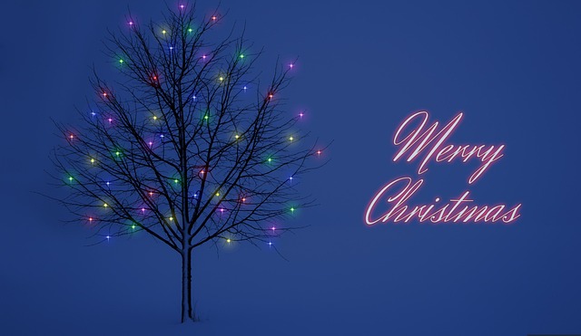Festive Season Christmas Hd - Free photo on Pixabay