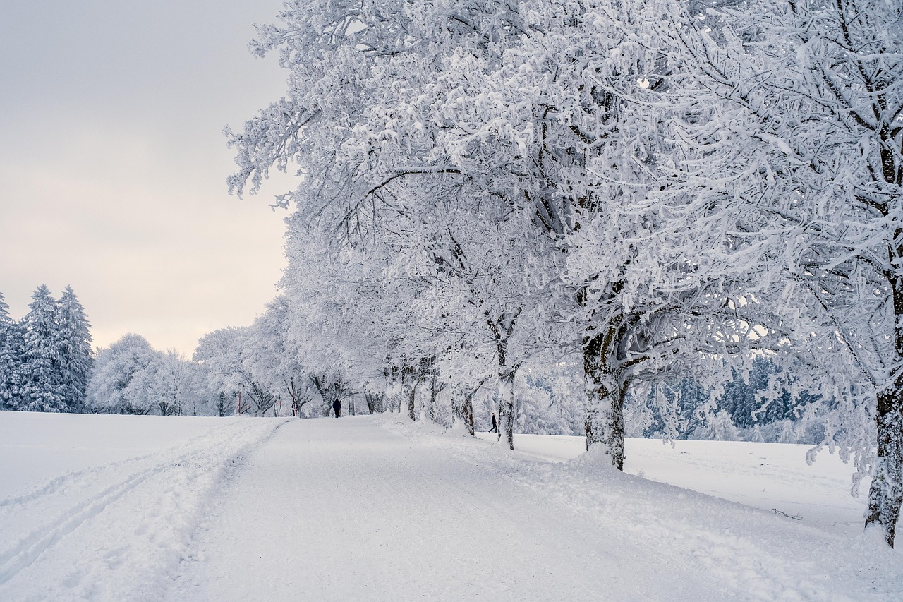 100 000 Free Winter Snow Images Pixabay