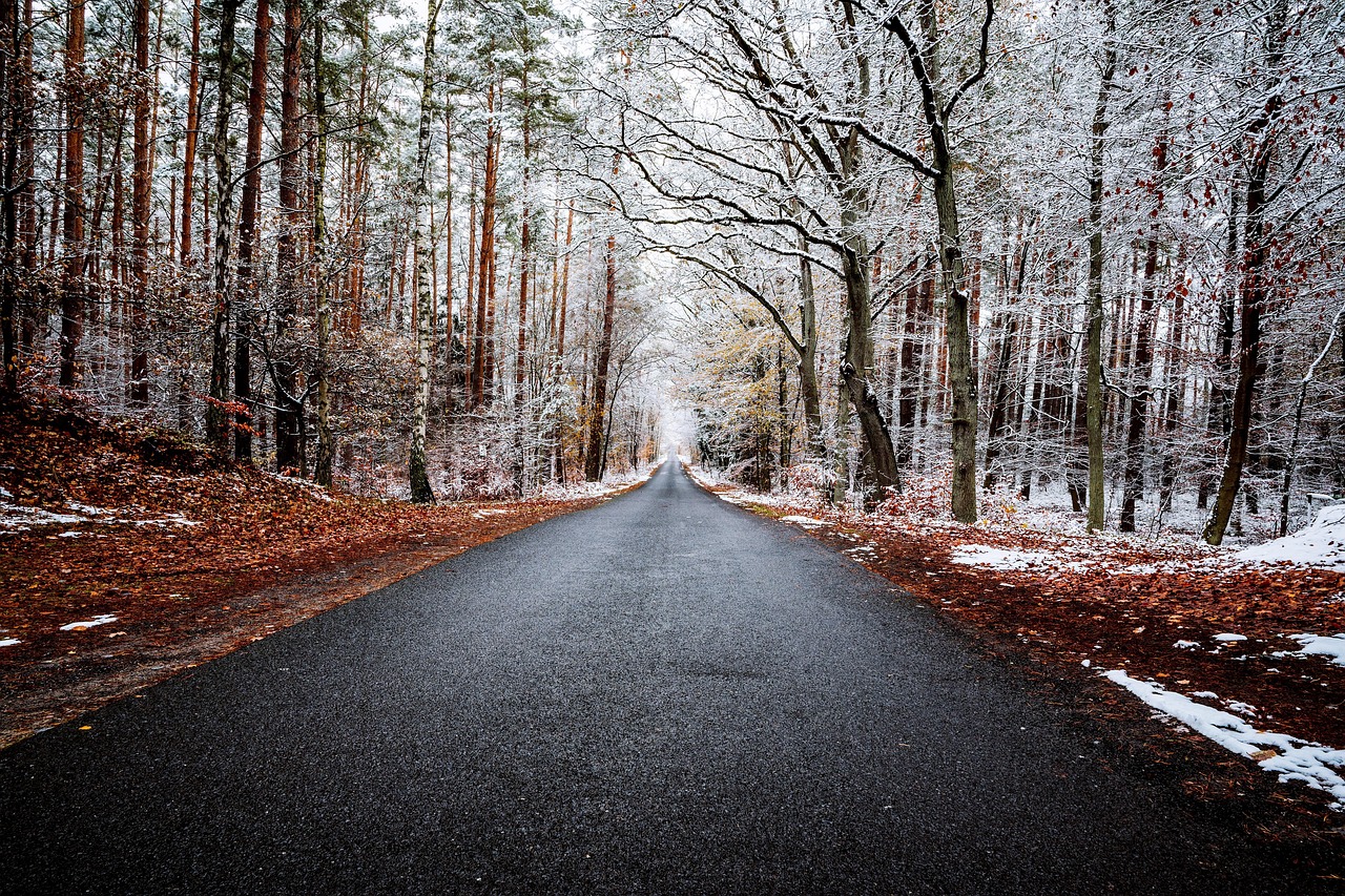 Bosque Nieve La Carretera - Foto gratis en Pixabay - Pixabay