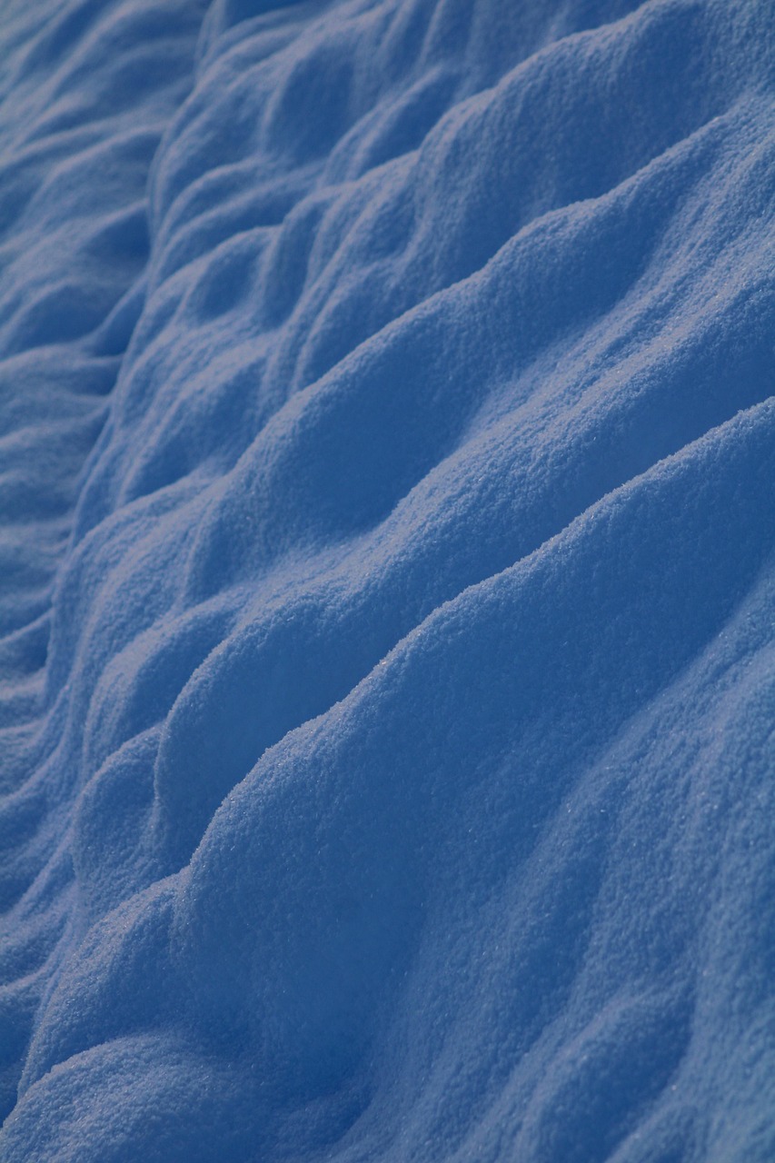 Snow Winter Cold - Free photo on Pixabay