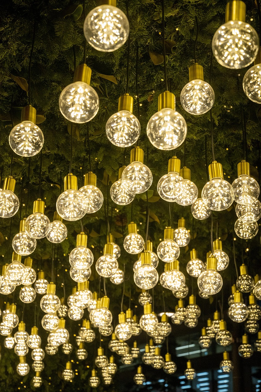 Bulbs Light Fixtures - Free photo on Pixabay