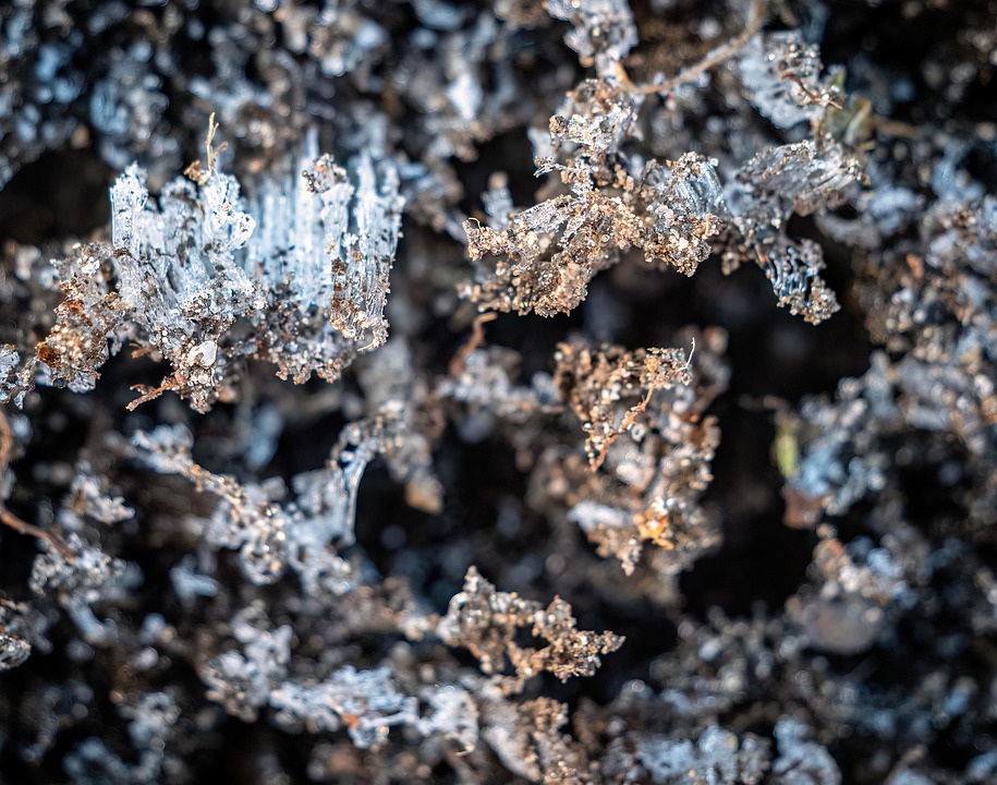 Ice Cream Crystals Winter - Free photo on Pixabay