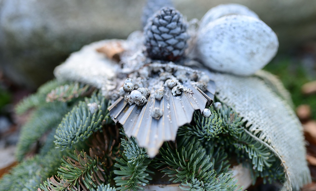 Dennentakken Graf Sieraden - Gratis foto op Pixabay - Pixabay