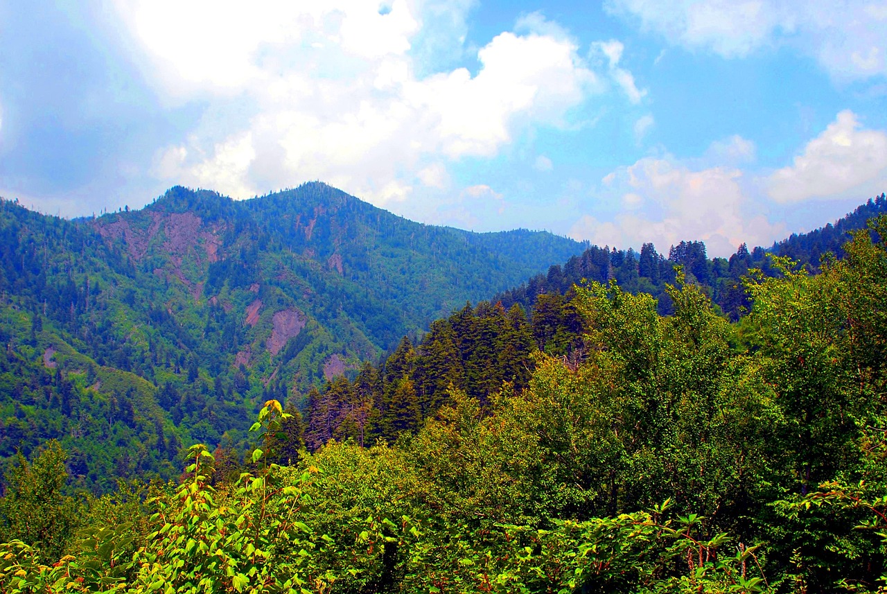 Nature Hike Travel - Free photo on Pixabay