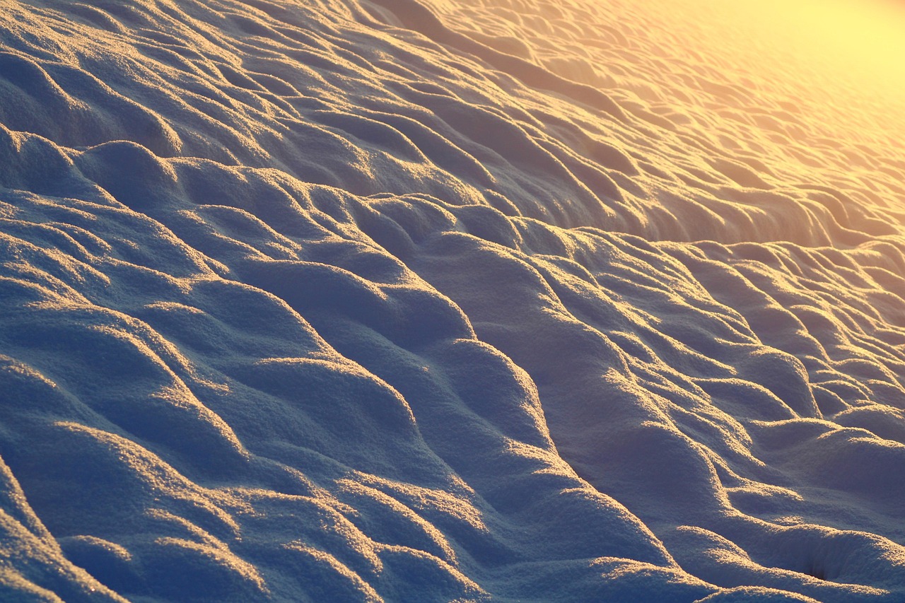 Snow Winter Cold - Free photo on Pixabay