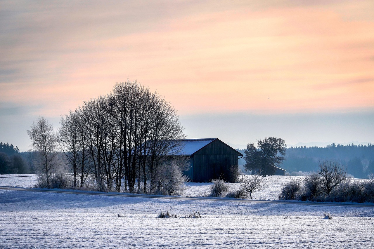 Snow Winter Cold - Free photo on Pixabay