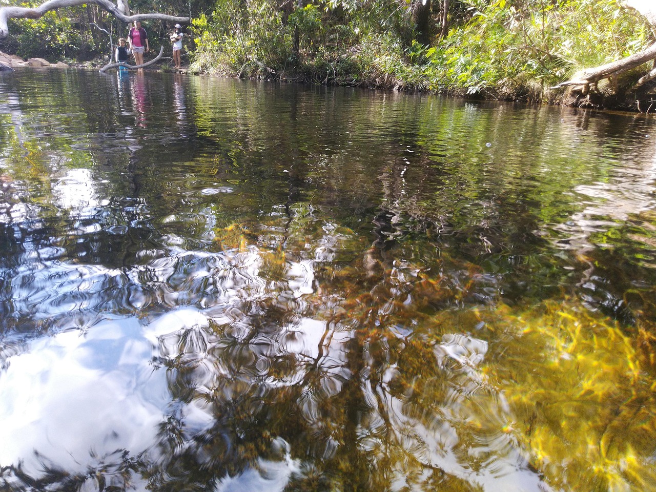 Crystal Clear Water River Nature - Free photo on Pixabay - Pixabay