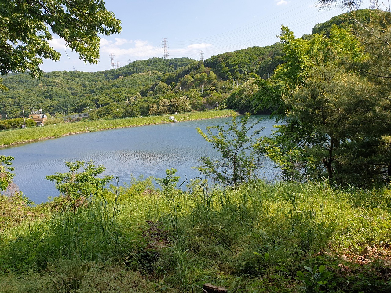 Waduk Danau Pemandangan - Foto gratis di Pixabay - Pixabay