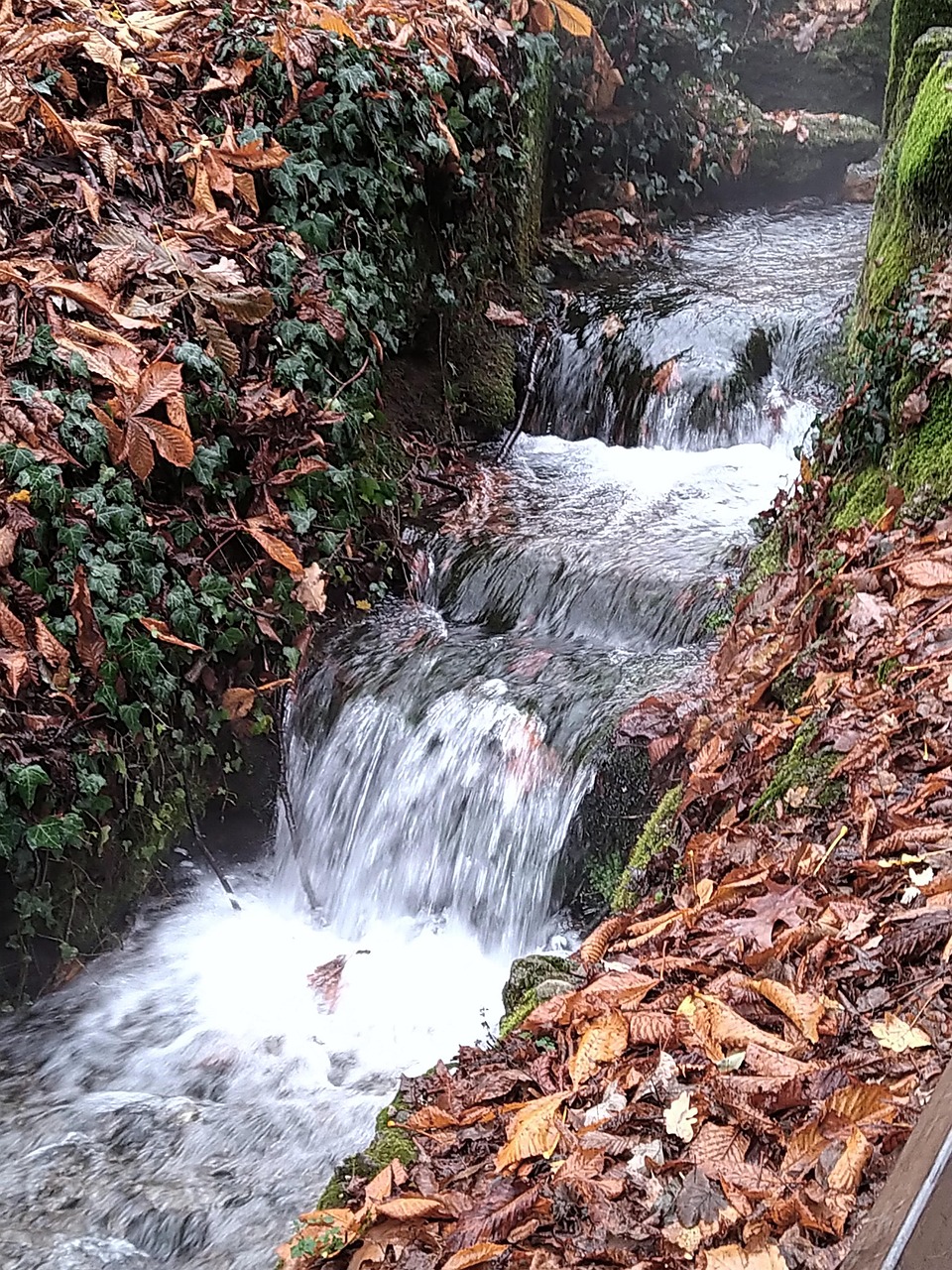 Nature Stream Waterfall - Free photo on Pixabay - Pixabay