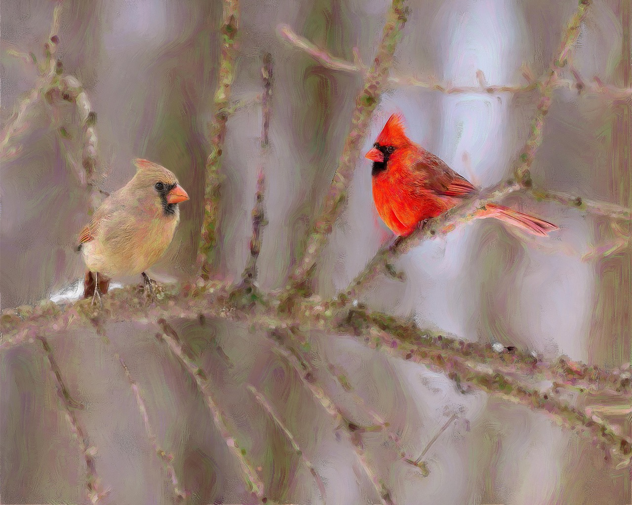 800+ Free Cardinal & Nature Images - Pixabay