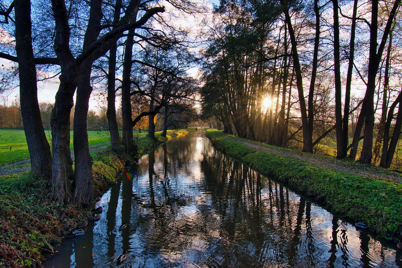 Forest Stream Sun - Free photo on Pixabay - Pixabay
