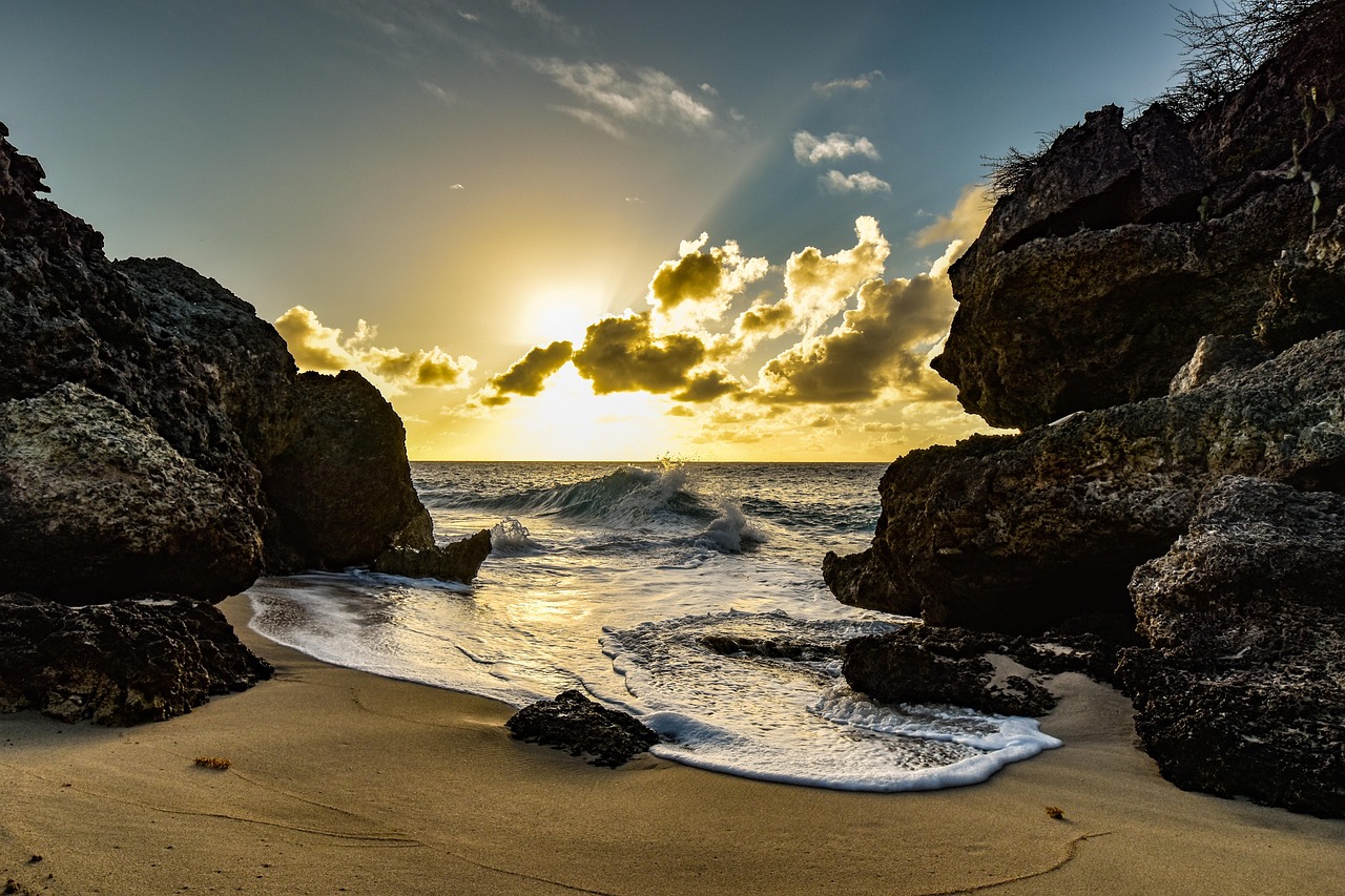 Meer dan 300 gratis afbeeldingen van Curacao en Natuur - Pixabay