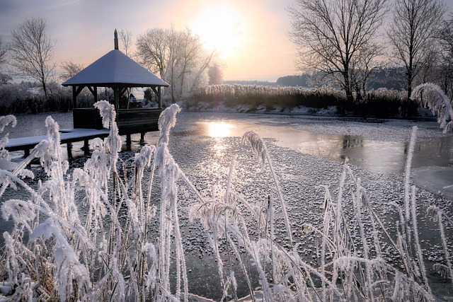 Frozen Lake Forest Sunset - Free photo on Pixabay - Pixabay