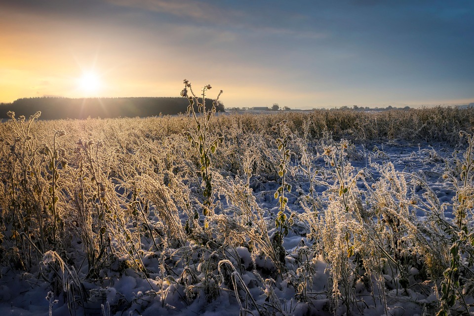 Winter Sunrise Field - Free photo on Pixabay