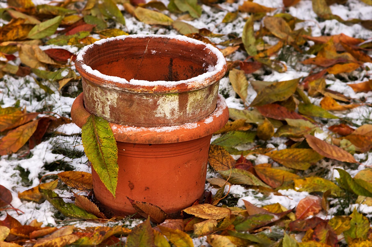 Plant Pot Garden Snow - Free photo on Pixabay - Pixabay
