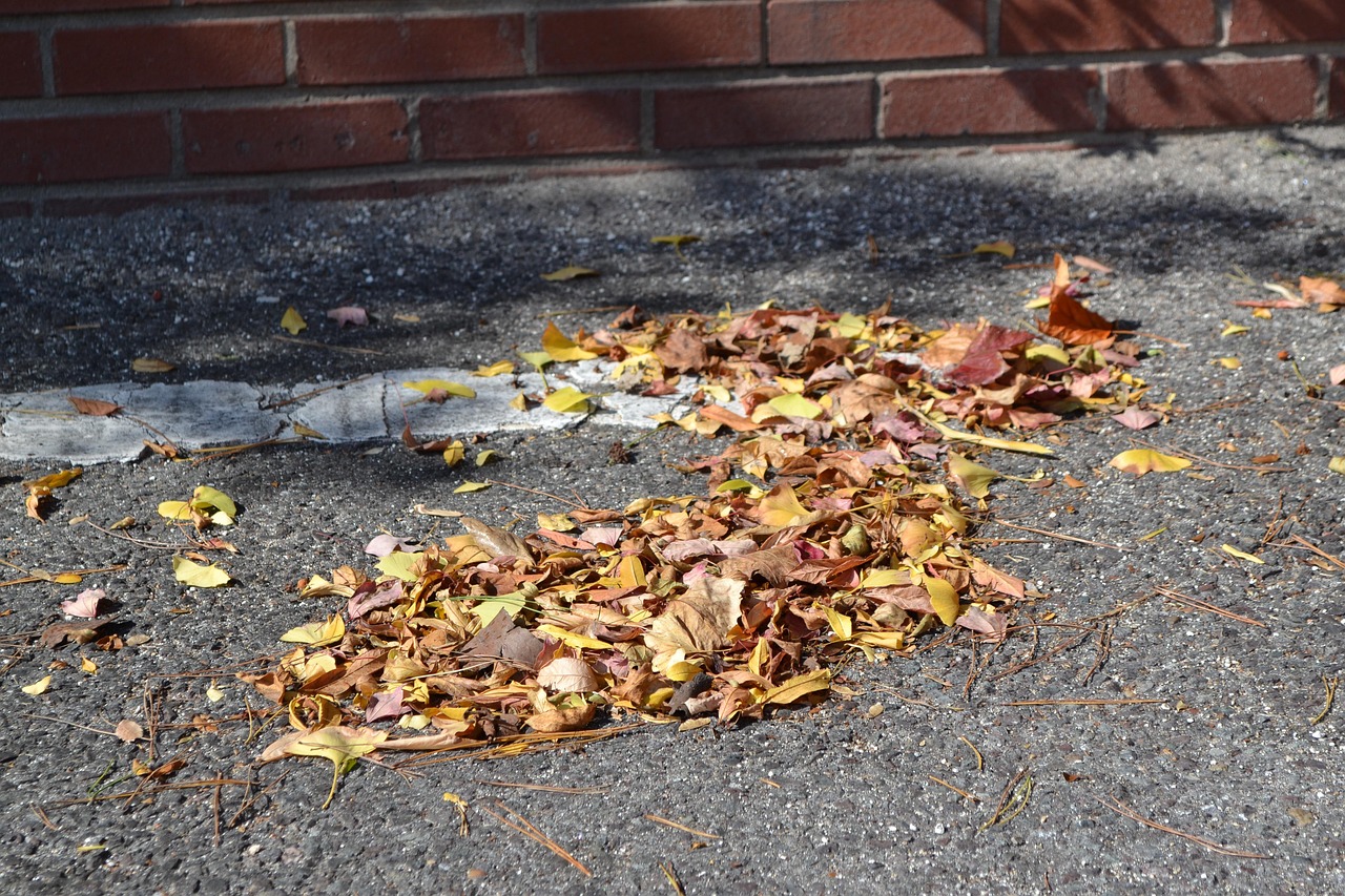 Autumn Leaf Falling - Free photo on Pixabay
