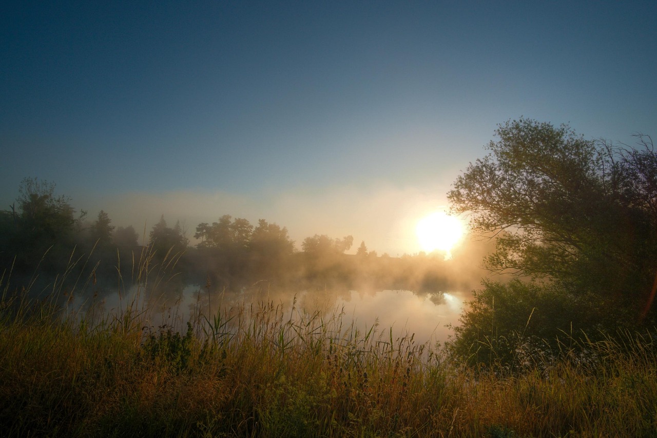 Sunset Fog - Free photo on Pixabay - Pixabay Sunset Fog - Free photo on Pixabay - Pixabay