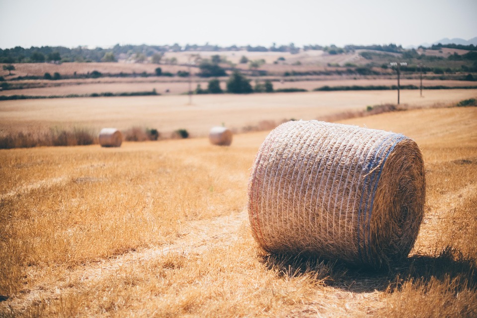 Hay Bales Agriculture Mallorca - Free photo on Pixabay